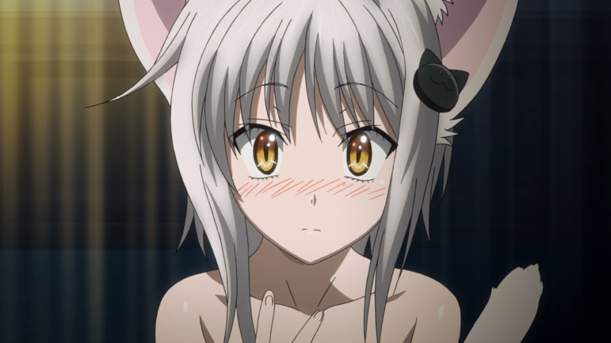 High School Dxd Specials Izle
